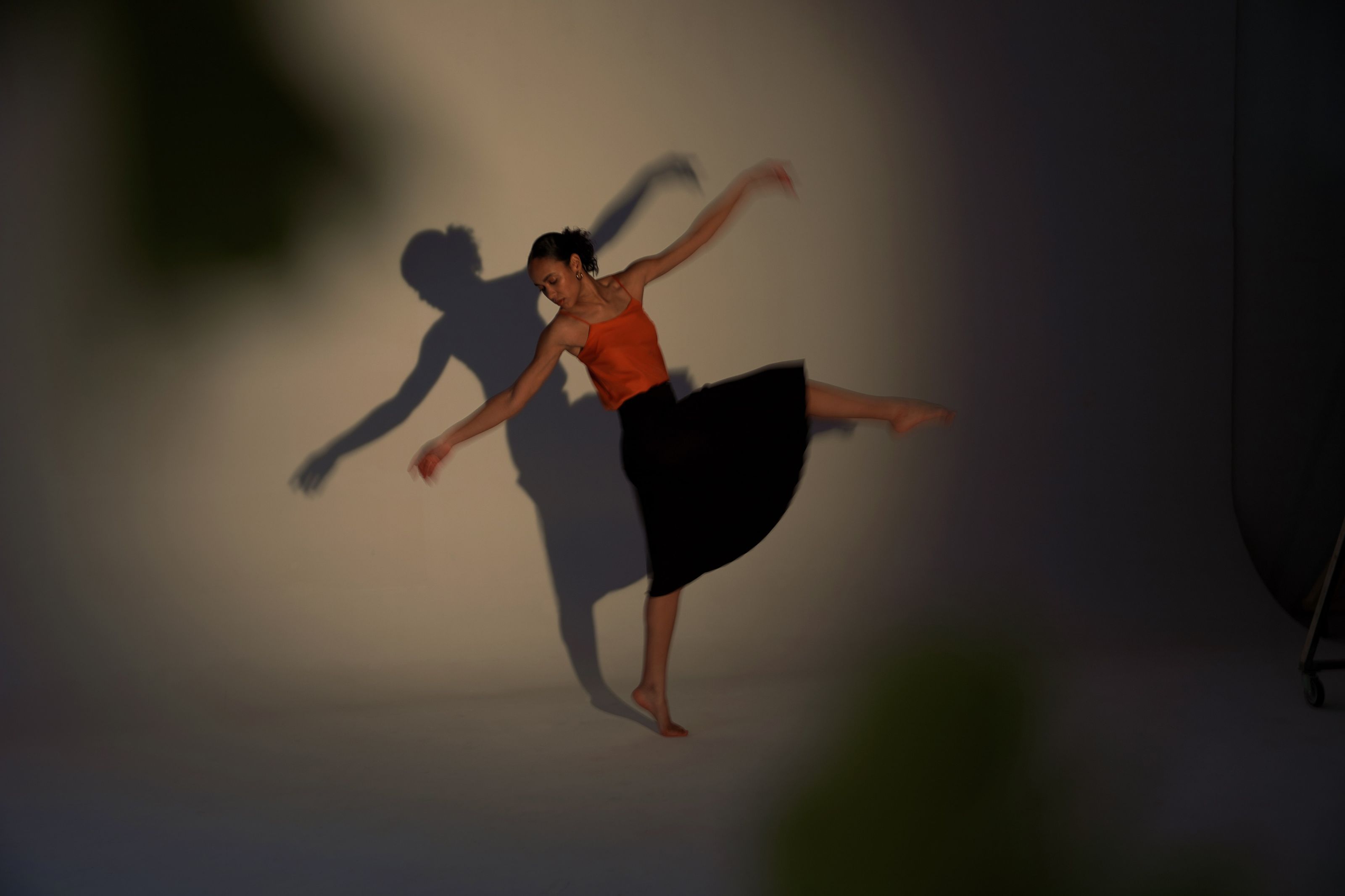 Lens Correction Image Distortion Correction I Skylum